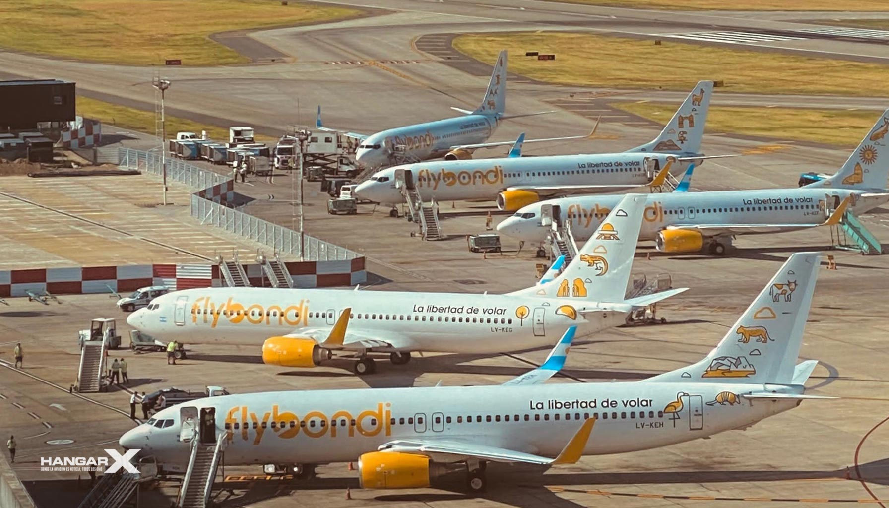 Flybondi sumará más aviones a su flota para el verano 2025 | HANGAR X