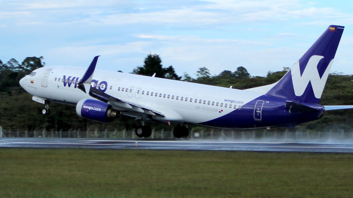 Wingo aumentará vuelos y fortalecerá su operación en Colombia en 2025 ...